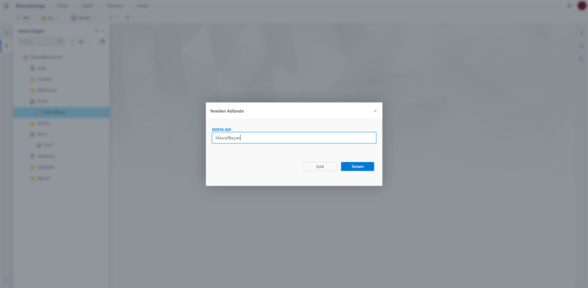 Masraf Beyan Formu Tasarımı | Bimser